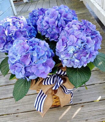 Rose Garden Florist - Flower Delivery in Barnegat, LBI, Manahawkin ...